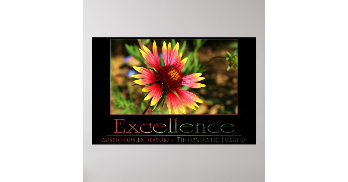 Excellence Poster | Zazzle