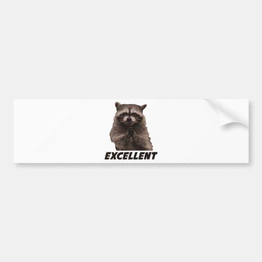 Excellent Evil Plotting Raccoon Bumper Sticker | Zazzle.com