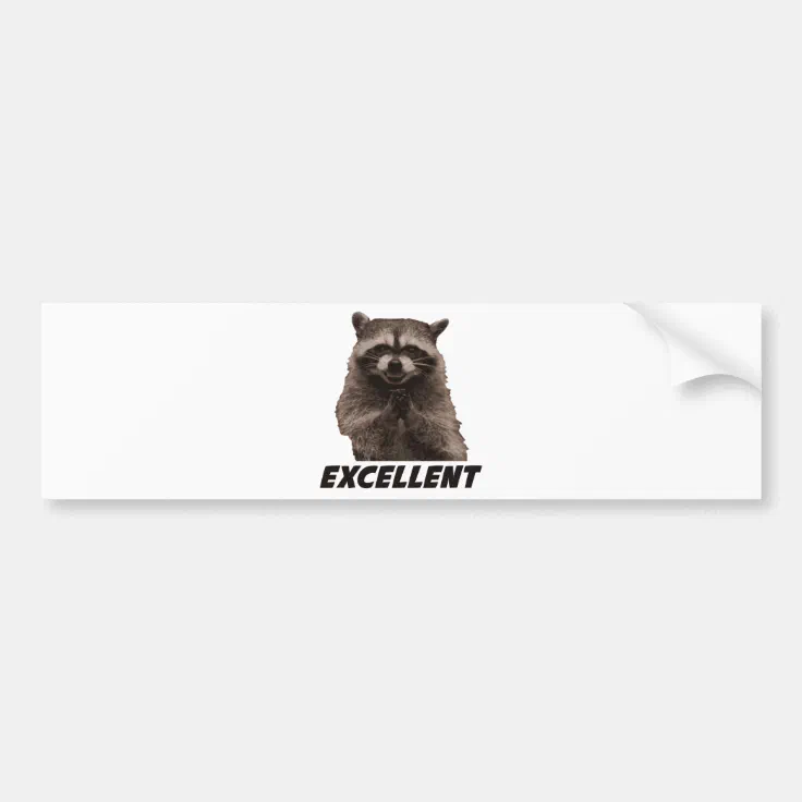 Excellent Evil Plotting Raccoon Bumper Sticker | Zazzle