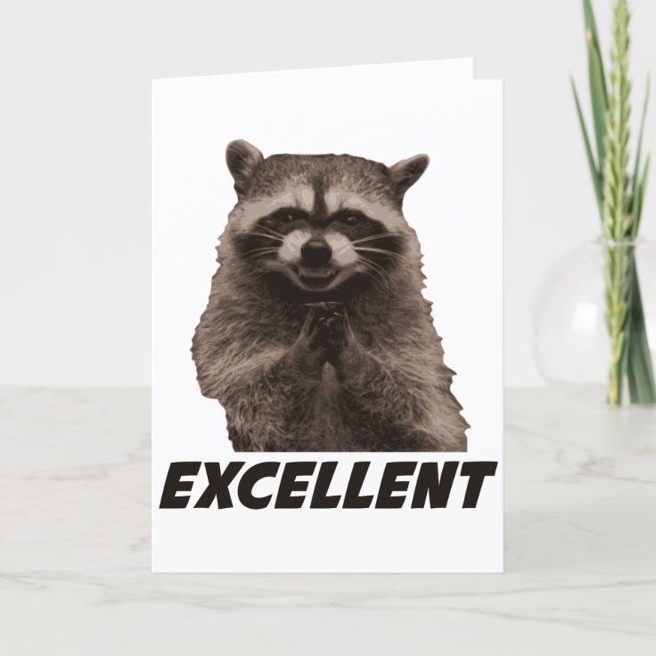 Excellent Evil Plotting Raccoon Card | Zazzle