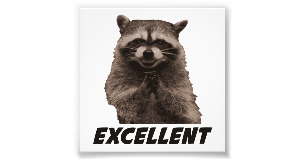 Excellent Evil Plotting Raccoon Photo Print | Zazzle