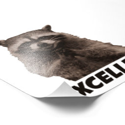 Excellent Evil Plotting Raccoon Photo Print | Zazzle