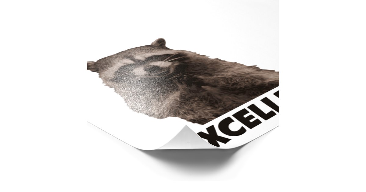 Excellent Evil Plotting Raccoon Card Zazzle