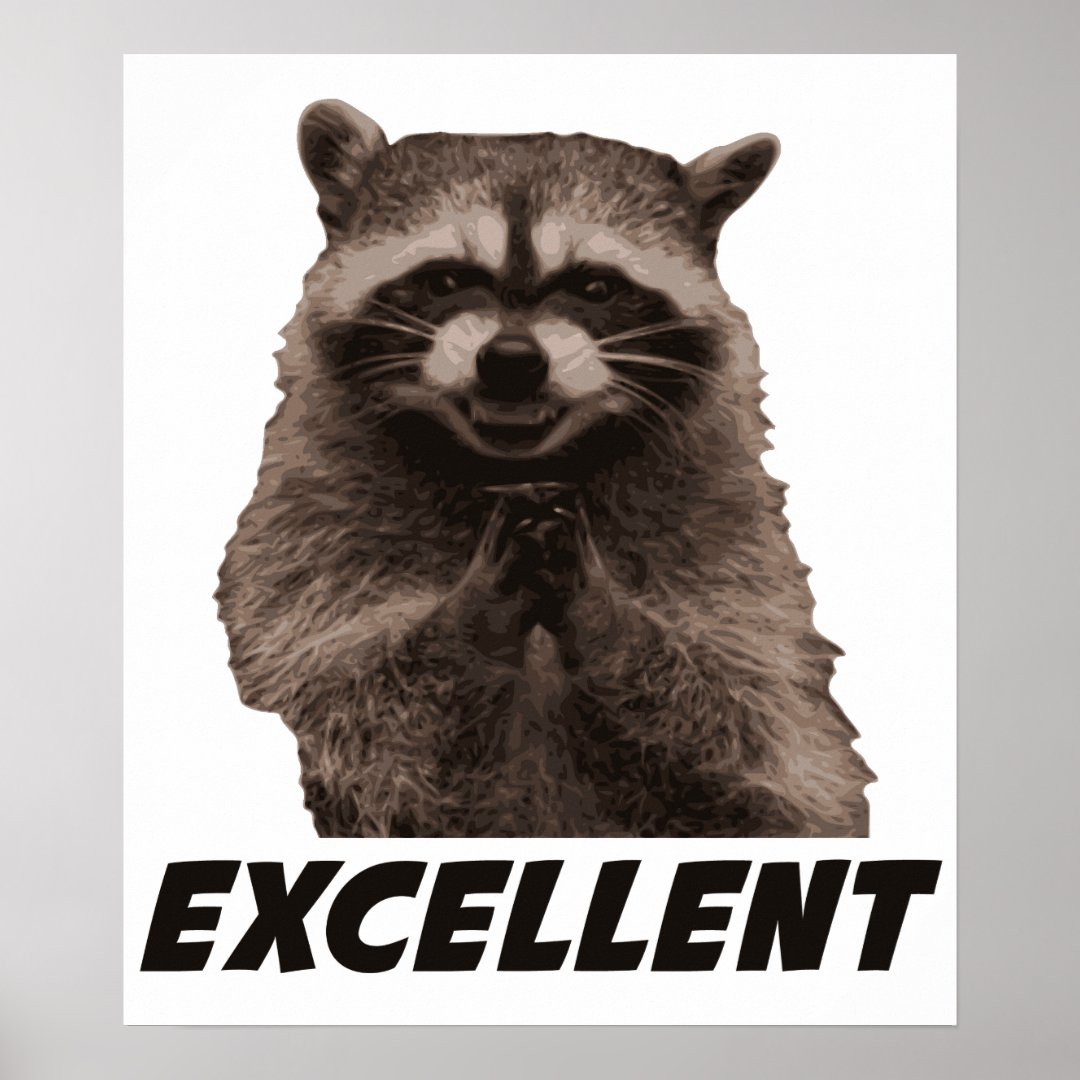 Excellent Evil Plotting Raccoon Poster | Zazzle