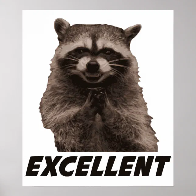 Excellent Evil Plotting Raccoon Poster | Zazzle