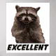 Excellent Evil Plotting Raccoon Poster | Zazzle
