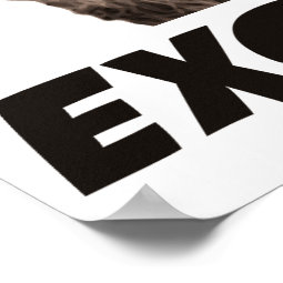 Excellent Evil Plotting Raccoon Poster | Zazzle