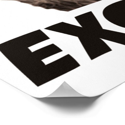 Excellent Evil Plotting Raccoon Poster | Zazzle