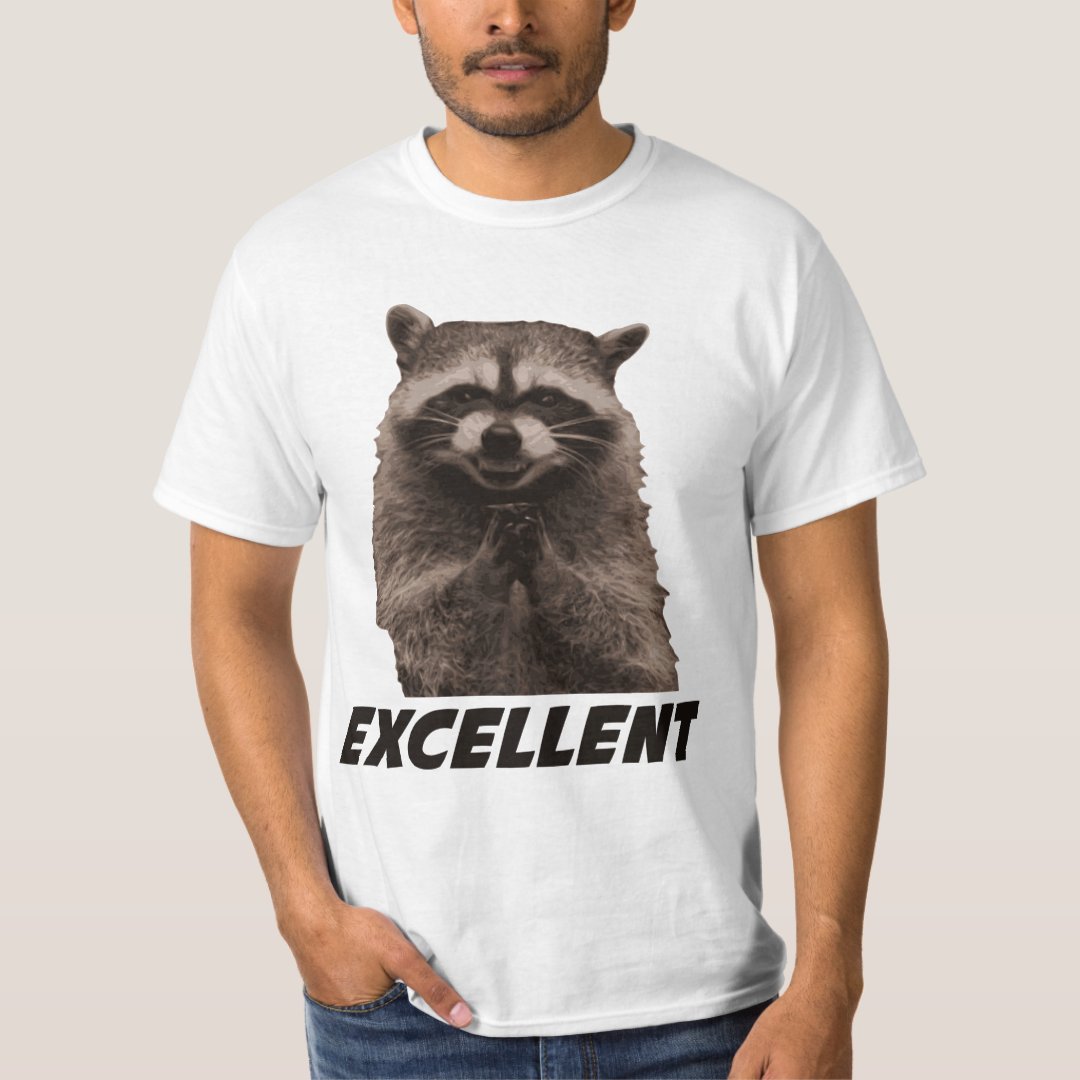 Excellent Evil Plotting Raccoon T-Shirt | Zazzle