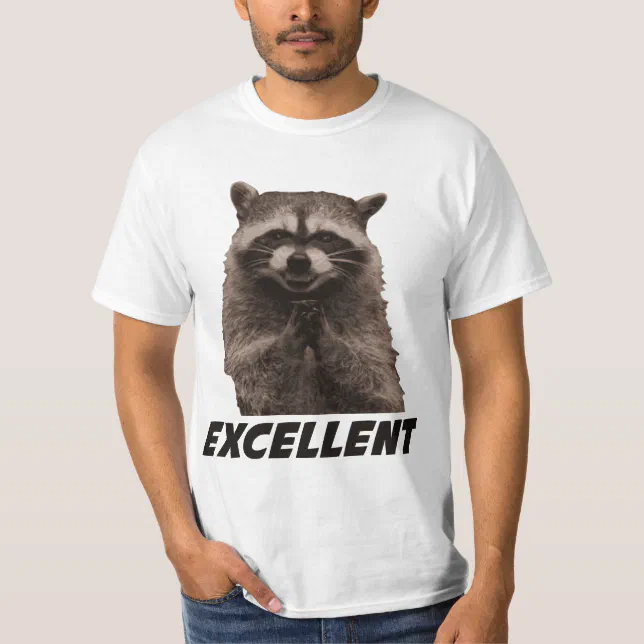 Excellent Evil Plotting Raccoon T-Shirt | Zazzle