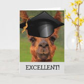 Excellent Llama Graduation Card | Zazzle