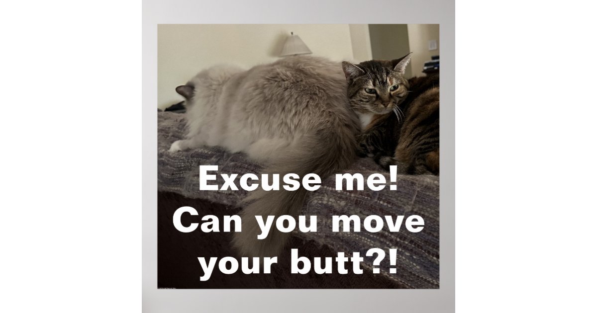 Excuse Me? Can you move your butt?! Poster | Zazzle