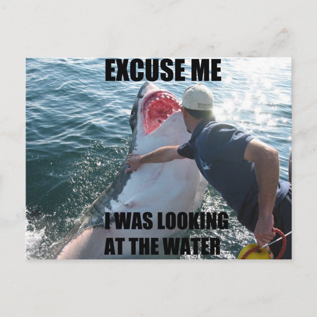 Excuse Me Shark! Postcard | Zazzle