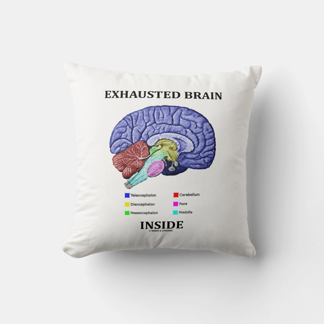 Exhausted Brain Inside Anatomical Brain Humor Throw Pillow | Zazzle