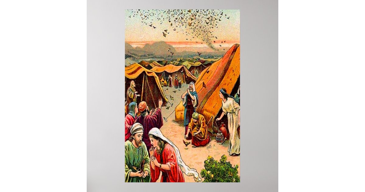 Exodus 16 God Sends Quail and Manna poster | Zazzle