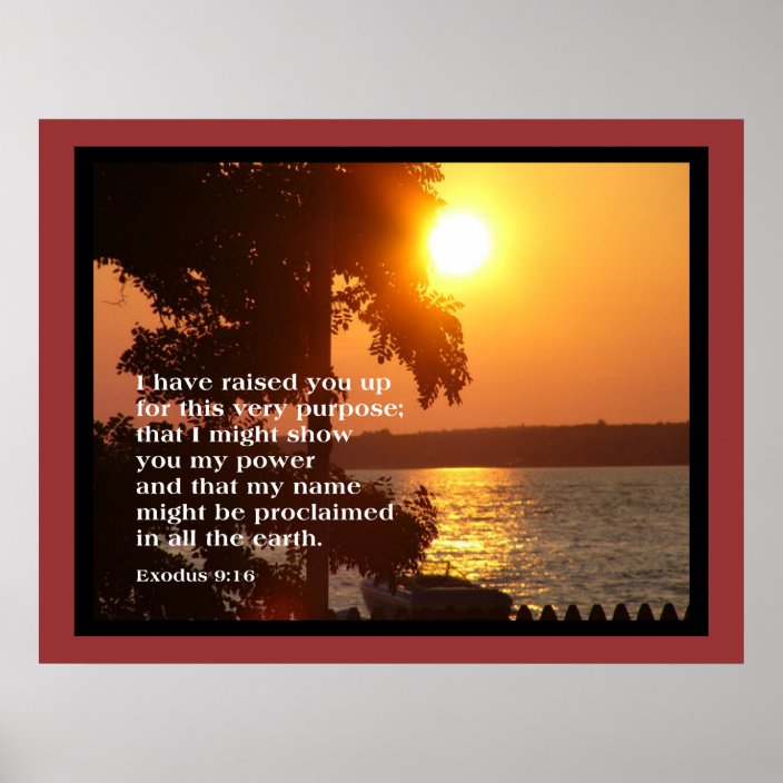 Exodus 9 16 LARGE POSTER Zazzle