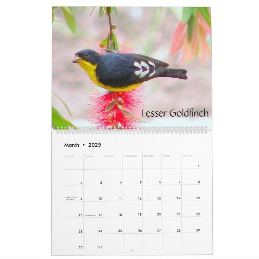 Exotic Birds of South America Calendar | Zazzle