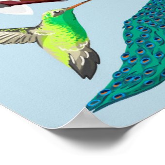 Exotic Birds Poster | Zazzle