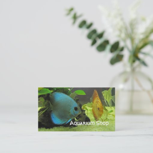 Exotic Fish Shop Business Card | Zazzle