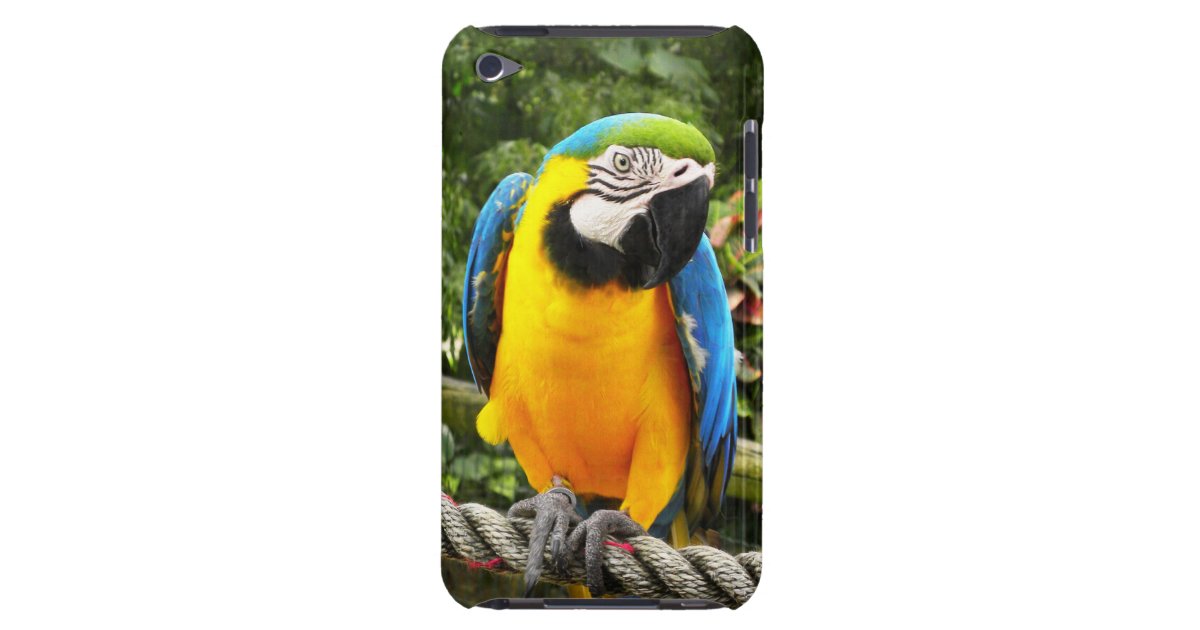 Exotic Macaw Parrot iPod Touch Case | Zazzle