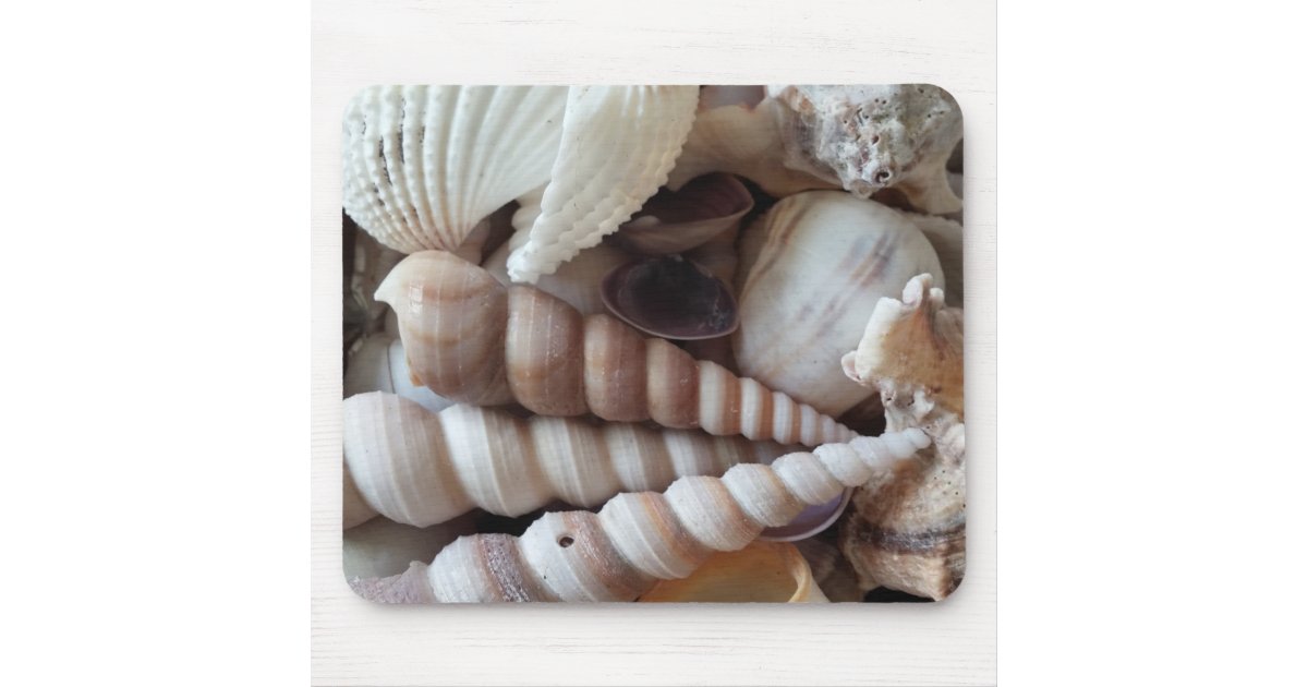 Exotic Sea Shells Collection, Summer Beach Life Mouse Pad | Zazzle
