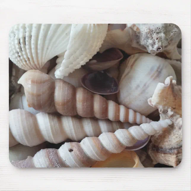 Exotic Sea Shells Collection, Summer Beach Life Mouse Pad | Zazzle