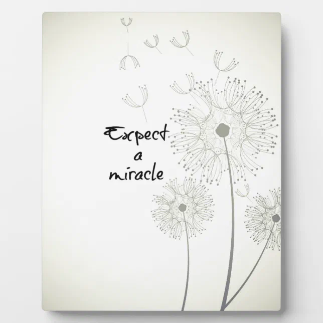 Expect a Miracle Inspirational Plaque | Zazzle