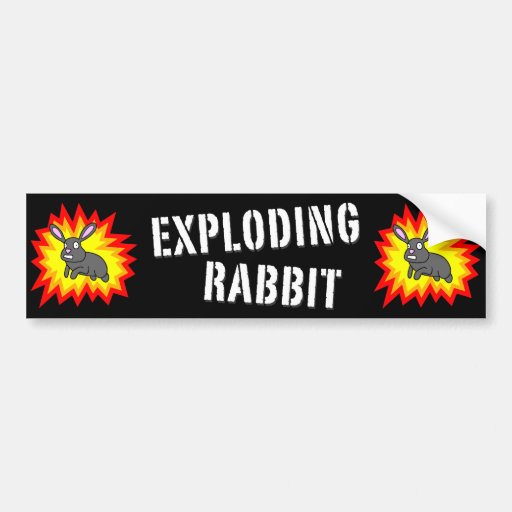Exploding Rabbit Bumper Sticker | Zazzle