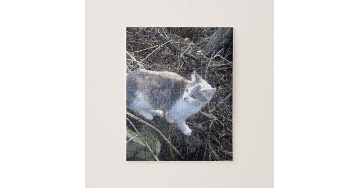 Explorer Jigsaw Puzzle | Zazzle