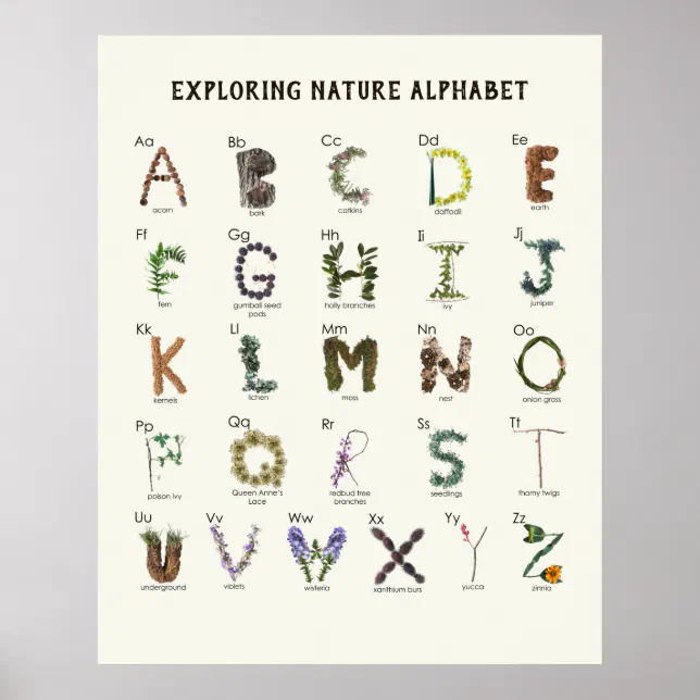 Exploring Nature Alphabet | Woodland ABC Nursery Poster | Zazzle