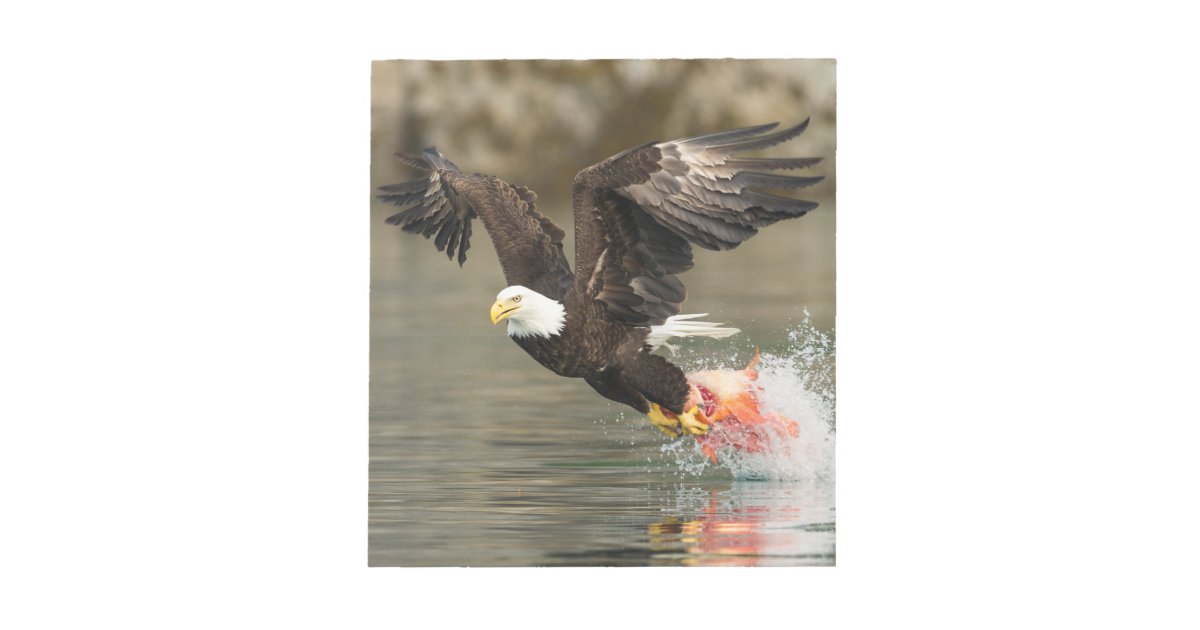 Explosive Bald Eagle Notepad | Zazzle