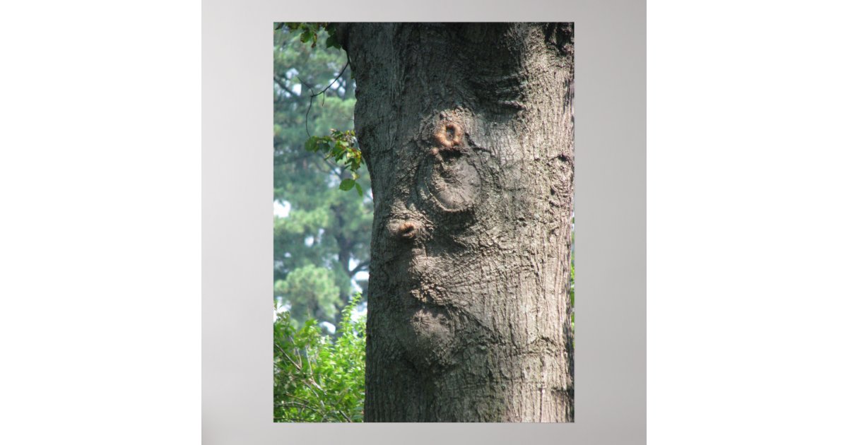 Expressive Tree Poster | Zazzle