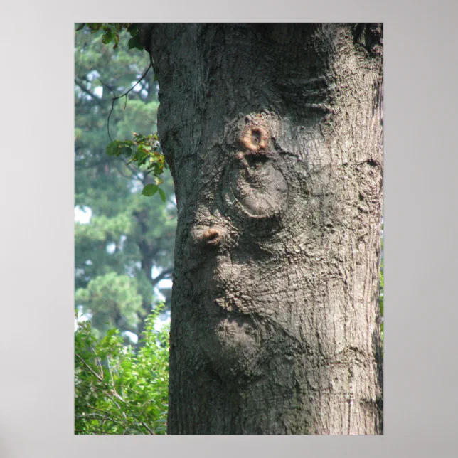 Expressive Tree Poster | Zazzle
