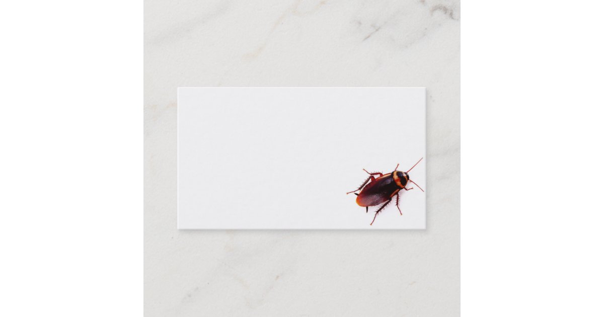 Exterminator Business Cards (Cockroach) | Zazzle