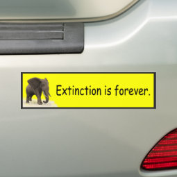 Extinction is Forever - Bumper Sticker | Zazzle