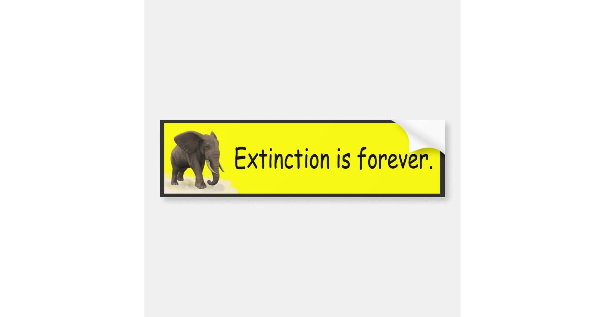 Extinction is Forever - Bumper Sticker | Zazzle