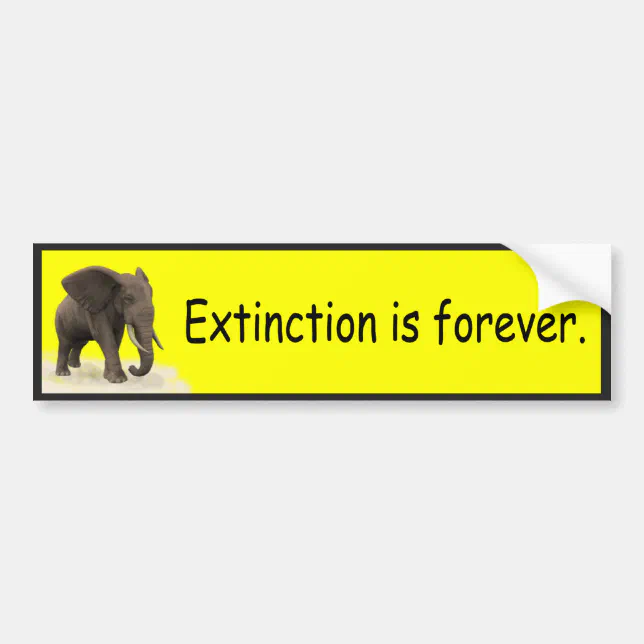 Extinction is Forever - Bumper Sticker | Zazzle