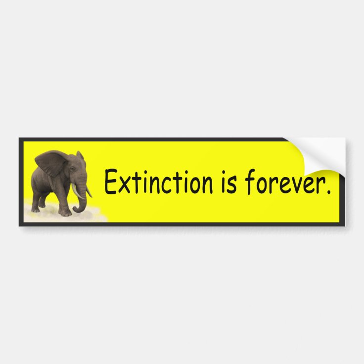 Extinction is Forever - Bumper Sticker | Zazzle