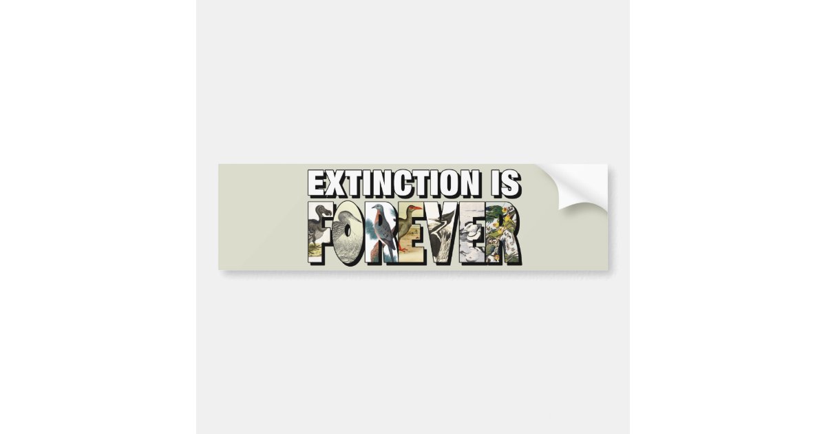 Extinction Is Forever Bumper Sticker | Zazzle