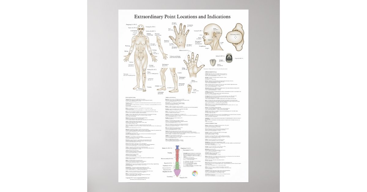 Extraordinary Acupuncture Points Poster | Zazzle