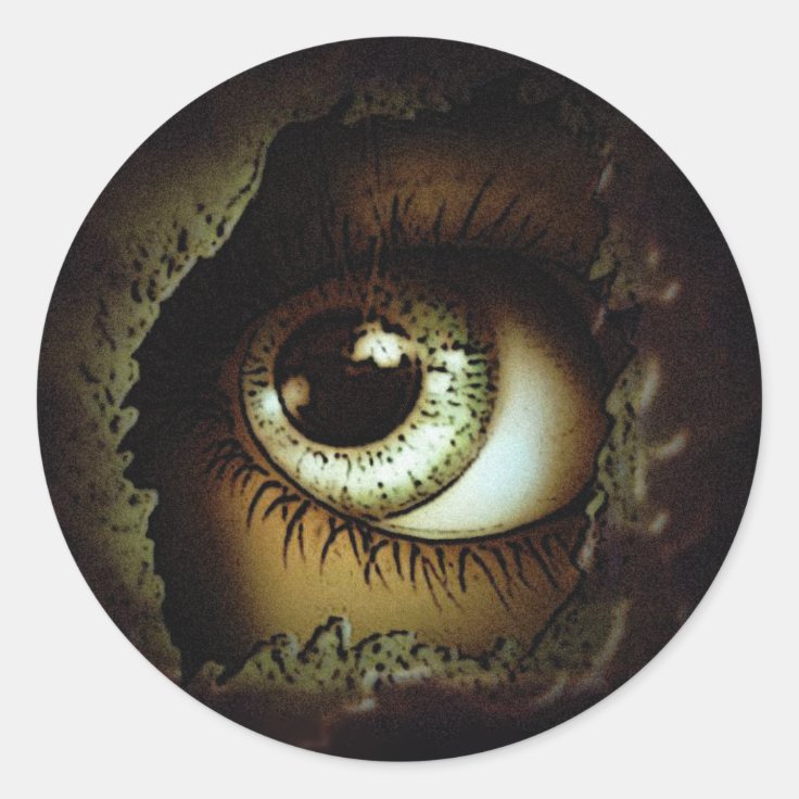 Eye Can See You Classic Round Sticker | Zazzle