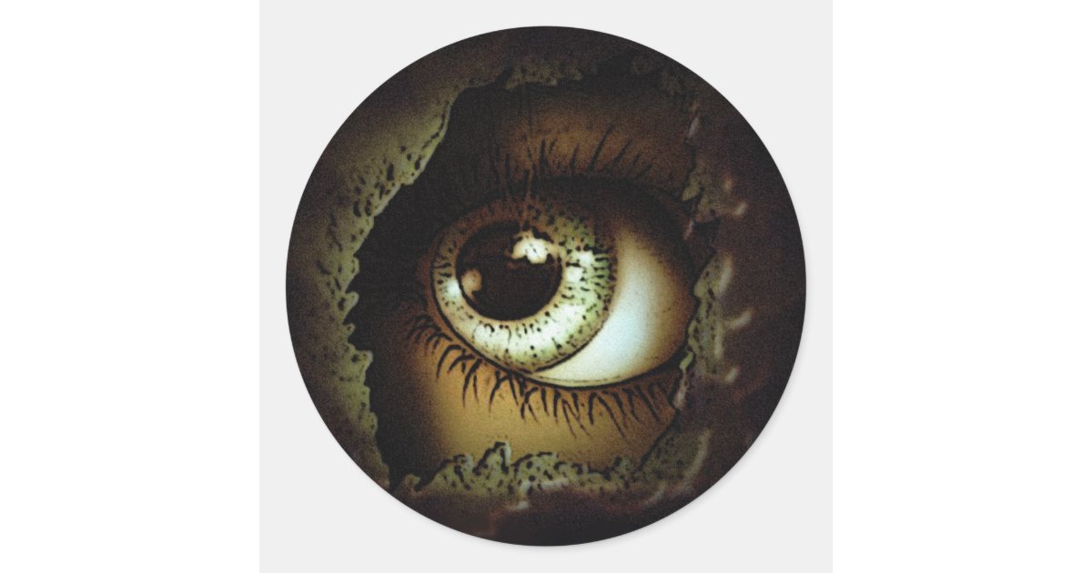 Eye Can See You Classic Round Sticker | Zazzle
