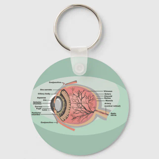 Eye Diagram for National Eye Care Month Keychain | Zazzle