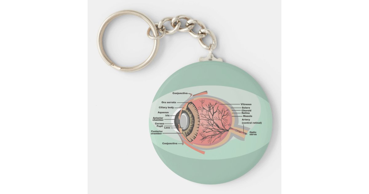 Eye Diagram for National Eye Care Month Keychain | Zazzle