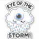 Eye Of The Storm Funny Weather Pun Sticker | Zazzle