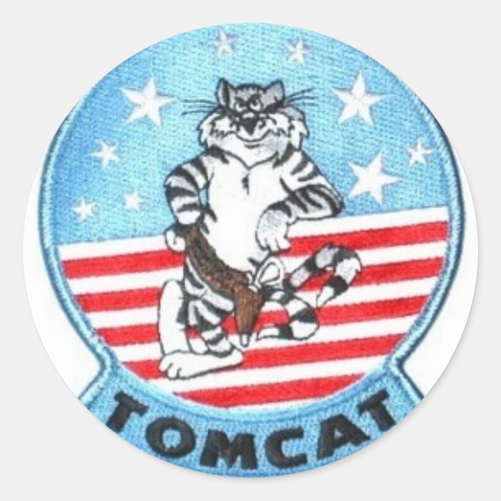 F-14 TOMCAT JET FIGHTER STICKERS | Zazzle.com