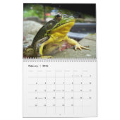 FABULOUS FROGS 2018 calendar | Zazzle