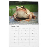 FABULOUS FROGS 2018 calendar | Zazzle