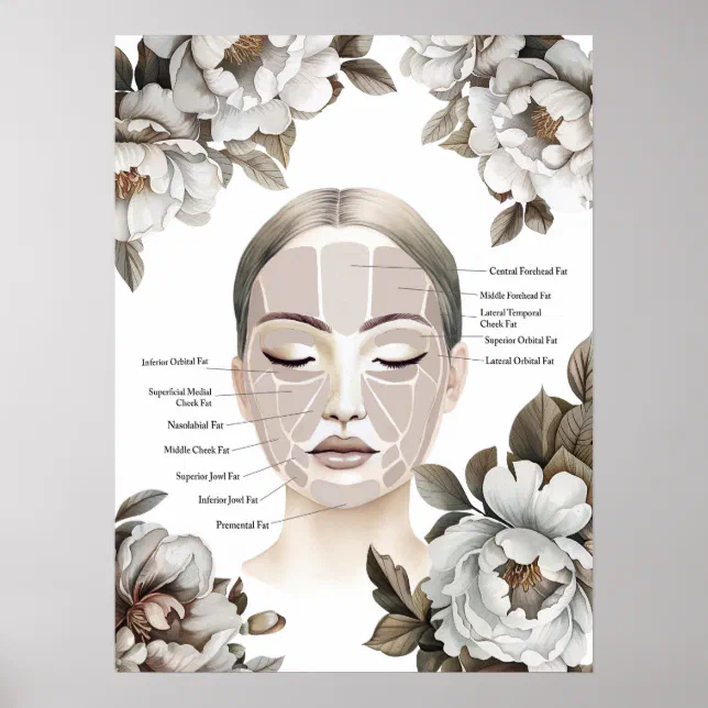 Face Anatomy Facial Fat Pad with Peony Flowers Poster | Zazzle