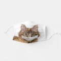 Face mask on Maine Coon cat | Zazzle